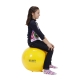 Sit’n’Gym Fitball by Fitball Australia | Order now online!