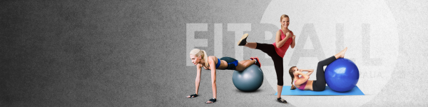Fitball | Buy Fit Balls, Fitness Balls, Exercise Balls, Swiss Balls ...